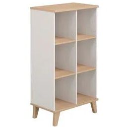 Standregal Paidi "FIENE in Grau mit 6 offenen F&auml;chern, 66x120x40cm", grau (kieselgrau, scandinavian wood), B:120cm H:66cm T:40cm, Regale, Standregal, stabiles und langlebiges Regal aus Holz, gepr&uuml;fte Qualit&auml;t