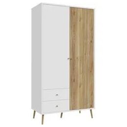 Dreht&uuml;renschrank FORTE "Harllson, EasyKlix by FORTE, Aufbau ohne Werkzeug + Schrauben Stabil", wei&szlig; (wei&szlig;, mauvella eiche), B:104,5cm H:201,7cm T:52,2cm, FSC-zertifizierter Holzwerkstoff, Schr&auml;nke, Dreht&uuml;renschrank, Aufbau schnell und genial