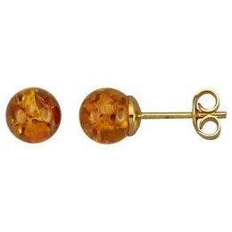 Paar Ohrstecker Firetti "Schmuck Geschenk Silber 925 Ohrschmuck Ohrringe", orange (gelbgoldfarben, bernsteinfarben, bernsteinfarben), Ohrringe, Damen, 7mm, Silber 925 (Sterlingsilber), mit Bernstein