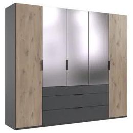 Dreht&uuml;renschrank wimex "Burgos by fresh to go", grau (front und korpus graphit, absetzung viking oak nachbildung), B:250cm H:216cm T:58cm, Holzwerkstoff, Schr&auml;nke, Dreht&uuml;renschrank, mit extra gro&szlig;en Schubladen, mit Spiegelt&uuml;ren