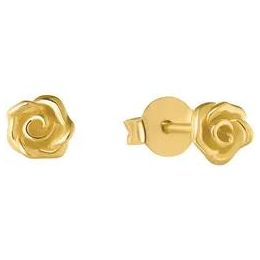 Paar Ohrstecker Amor "Rose", gold (gelbgoldfarben), Ohrringe, Damen, 6mm, Silber 925 (Sterlingsilber)