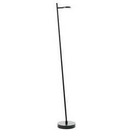 Brilliant LED Stehlampe "Pesso", schwarz, &Oslash; 20cm H: 135cm, 1 Stk., Leuchten, 135 x 25 x 20 cm, 600 lm, 3000 K, 3-Stufen dimmbar, schwenkbar, Metall, LED Stehlampe