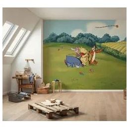 Kindertapete Komar "Disney Winnie the Pooh Adventure", bunt, B:300m H:250m, Vlies, Tapeten