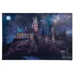 Poster Reinders "Harry Potter Hogwarts", blau (farbe bild(er): blau), B:91,5cm H:61cm, Papier, Bilder, Poster