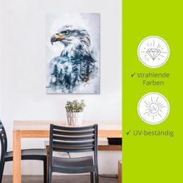 Wandbild Artland, B:40cm H:60cm, wei&szlig;, Alu Dibond, Wohnzimmer, Bilder, "Wei&szlig;kopfadler", als Alubild, Leinwandbild, Poster, Wandaufkleber in