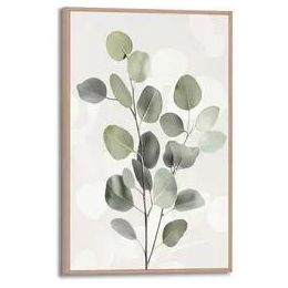 Poster Reinders "Eucalyptus Zweig", gr&uuml;n (farbe bild(er): gr&uuml;n), B:20cm H:30cm T:1,6cm, Bilder, Poster, K&uuml;che - Gr&uuml;n - MDF - Blumen und Pflanzen - 20x30 cm