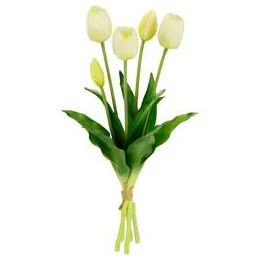 Kunstblume I.GE.A. "Tulpen", beige (creme), B:20cm H:39cm L:12cm, Polyester, Kunstpflanzen, Real-Touch Tulpenbund k&uuml;nstlich Bl&uuml;ten Tulpenstrau&szlig;
