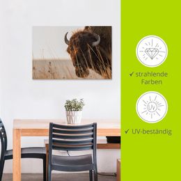 Wandbild Artland, B:120cm H:80cm, braun, Alu Dibond, Wohnzimmer, Bilder, "Bison Sunset", als Alubild, Leinwandbild, Poster, Wandaufkleber in