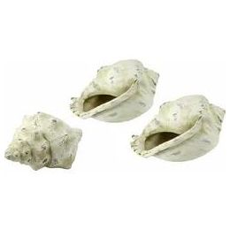 Dekoobjekt I.GE.A. "Keramik-Muschel", beige (natur), B:19cm H:10cm T:12cm, Keramik, Dekofiguren