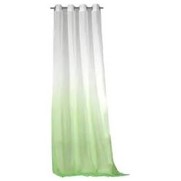 Weckbrodt-Gardinen Vorhang WECKBRODT "Maischa" Gr. 1, gr&uuml;n (hellgr&uuml;n), B:140cm H:245cm, Voile, Polyester, Gardinen, Voile, transparent mit Farbverlauf, Gardine, Store