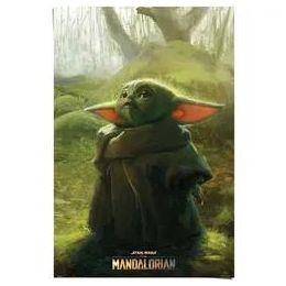 Poster Reinders "Baby Yoda Grogu", gr&uuml;n (farbe bild(er): gr&uuml;n), B:61cm H:91,5cm T:0,1cm, Papier, Bilder, Poster