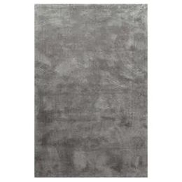 Teppich HOMIE LIVING "Pisa", grau (grau taupe), B:200cm H:25mm L:290cm, Polyester, Teppiche, Teppich, Hochflor, Microfaser, uni, weich, Shaggy, Wohnzimmer, Schlafzimmer