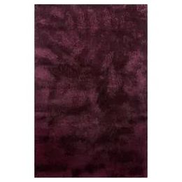 Teppich HOMIE LIVING "Pisa", rot (bordeaux rot), B:120cm H:25mm L:170cm, Polyester, Teppiche, Teppich, Hochflor, Microfaser, uni, weich, Shaggy, Wohnzimmer, Schlafzimmer