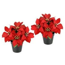 Kunstblume I.GE.A. "Poinsettia im Topf", rot, B:16cm H:17cm L:16cm, Polyester, Kunstpflanzen, 2er Set K&uuml;nstliche Blume Weihnachtsstern Christstern Weihnachtsdeko