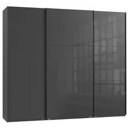 Kleiderschrank wimex "Indiana by fresh to go, wahlweise mit oder ohne Spiegel", grafit, glas grafit, B:250cm H:216cm T:65cm, Holzwerkstoff, Schr&auml;nke, Kleiderschrank, gro&szlig;e Breiten250 oder 300cm, mit oder ohne Glasfront, Made in Germany