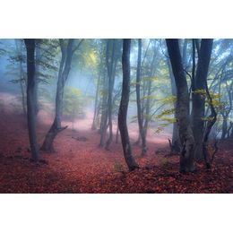 papermoon Fototapete "Wald", B/L: 4,5m x 2,8m, Bahnen: 9 Stk., bunt, Schlafzimmer, Tapeten