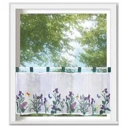 Weckbrodt-Gardinen Scheibengardine WECKBRODT "Violet" Gr. 1, bunt (multi), B:120cm H:45cm, Voile, Polyester, Gardinen, Bistro, Voile, floral, transparent, HxB 45x120cm, Gardine, Store