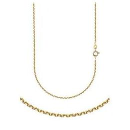 Collierkettchen Firetti "Schmuck Geschenk Gold 333 oder 585 Halskette Ankerkette diamantiert" Gr. 36, gold (gelbgoldfarben), Halsketten, Damen, 36, Gelbgold 333, B: 1,2mm, Made in Germany, B:1,2mm