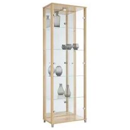 Fif M&ouml;bel Vitrine FIF M&Ouml;BEL "OPTIMA", buchefarben, B:57,5cm H:172cm T:32cm, Holzwerkstoff, Sicherheitsglas ESG, Schr&auml;nke, Vitrine, Standvitrine, Vitrinenschrank, Glasvitrine, Sammlervitrine, LED