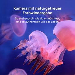 Huawei Smartphone "Mate X7", B:18,2cm H:5cm T:19,75cmschwarz, Mobiltelefone