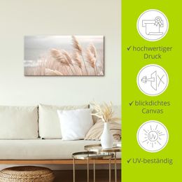 Wandbild Artland, B:150cm H:75cm, beige, Leinwand, Wohnzimmer, Bilder, "Pampasgras in einer zarten Brise", als Alubild, Leinwandbild, Poster,