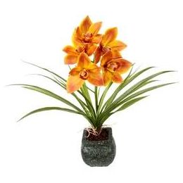 Kunstblume my home "Orchidee", orange, B:35cm H:40cm L:25cm, Polyester, Kunstpflanzen, Mit Bl&auml;tter im Topf aus Zement K&uuml;nstliche Blume Cymbidium-Orchidee