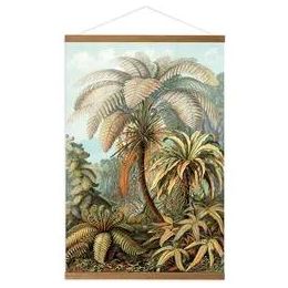 Leinwandbild Art for the home "Jungle Filicinae", bunt (farbe bild(er): mehrfarbig), B:70cm H:100cm T:2,3cm &Oslash;:2,3cm, Leinwand, Bilder, Leinwandbild, Luxus Kakemono Leinen Wandposter 100x70cm