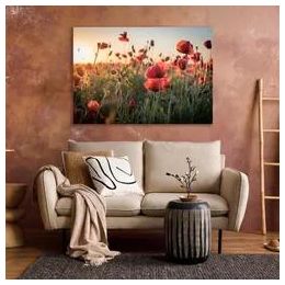 XXL-Wandbild queence "Akustikbild Mohn Mohnfeld bei Sonnenaufgang", wei&szlig;, neutral, B:90cm H:60cm T:2,5cm, Polyester, Bilder