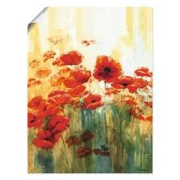 Poster Artland "Mohnwiese", rot (farbe bild(er): rot), B:30cm H:40cm, Bilder, Poster, ohne Rahmen