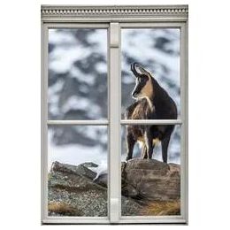 Wandsticker queence "Steinbock", braun, B:40cm H:60cm T:0,1cm, Wandtattoos, Wandsticker, Wandbild, selbstklebend, 3D, Fenster