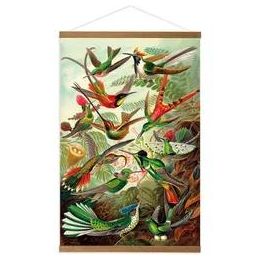 Leinwandbild Art for the home "Hummingbirds", bunt (farbe bild(er): mehrfarbig), B:60cm H:80cm T:2,3cm &Oslash;:2,3cm, Leinwand, Bilder, Leinwandbild, Luxus Kakemono Leinen Wandposter 80x60cm
