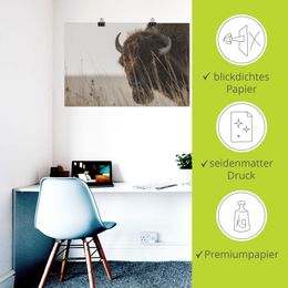 Wandbild Artland, B:120cm H:80cm, braun, Papier, Wohnzimmer, Bilder, "Bison Sunset", als Alubild, Leinwandbild, Poster, Wandaufkleber in verschied.