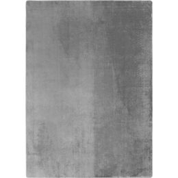 Teppich, B:160cm H:11mm L:220cm, silber, Ayyildiz Teppiche, Polyester, Wohnzimmer, Teppiche, "JOY 1400, auch als L&auml;ufer und in Rund erh&auml;ltlich",