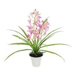 Kunstorchidee I.GE.A. "K&uuml;nstliche Orchidee mit Topf", rosa, B:35cm H:40cm L:30cm, Polyester, Kunstpflanzen, Dekoblume Kunstblume 40cm mit Bl&auml;tter und Luftwurzeln im Topf Blume