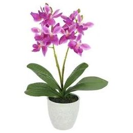 Kunstorchidee I.GE.A. "K&uuml;nstliche Orchidee mit Topf", dunkelrosa, B:14cm H:30cm L:14cm, Polyester, Kunstpflanzen, Dekoblume im Keramiktopf mit Rissoptik Kunstblume