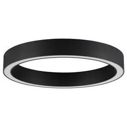 NOVA LUCE LED Deckenleuchte "STING", schwarz, 1, &Oslash; 60cm, 1 Stk., Leuchten, LED Deckenleuchte