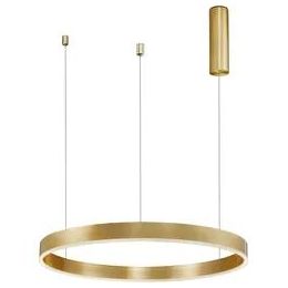 NOVA LUCE LED-H&auml;ngeleuchte "MOTIF", gold, 1, &Oslash; 60cm, 1 Stk., Leuchten, Dimmbar; H&ouml;henverstellbar; Mit Leuchtmittel