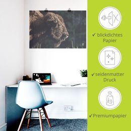Wandbild Artland, B:90cm H:60cm, braun, Papier, Wohnzimmer, Bilder, "Bison Meditation", als Alubild, Leinwandbild, Poster, Wandaufkleber in