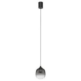 NOVA LUCE Pendelleuchte "KITA", schwarz, rauch, 1, &Oslash; 10cm H: 125cm, 1 Stk., Leuchten, Pendelleuchte