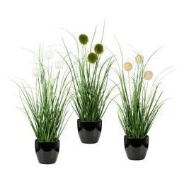 Kunstgras OTTO HOME "Grasbusch, naturgetreue Kunstpflanze, 35cm hoch", gr&uuml;n (gr&uuml;n, schwarz), H:35cm &Oslash;:7,5cm, Kunststoff, Kunstpflanzen, im 3 teiligen Set, mit &Uuml;bertopf wahlweise in schwarz oder wei&szlig;