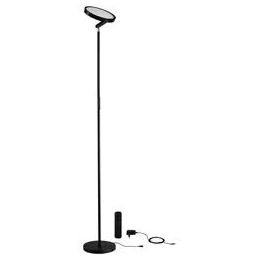 Paulmann LED Stehlampe "Caneta Tunable White 1750mm 1300lm 20W Schwarz", schwarz, 1, &Oslash; 25cm H: 175cm, 1 Stk., Leuchten, dimmbar, LED Stehlampe