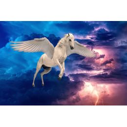 papermoon Fototapete "Pegasus", B/L: 3m x 2,23m, Bahnen: 6 Stk., bunt, Schlafzimmer, Tapeten