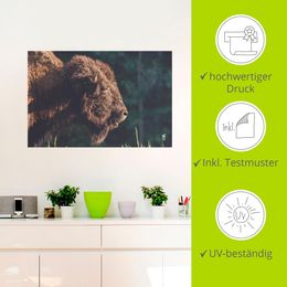 Wandbild Artland, B:120cm H:80cm, braun, Vinyl, Wohnzimmer, Bilder, "Bison Meditation", als Alubild, Leinwandbild, Poster, Wandaufkleber in