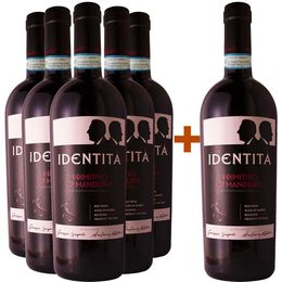 SG Vini 5+1 Paket Identita' di Manduria Primitivo 2019 Trocken - Apulien &ndash; Probierpaket DOC