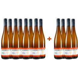 Weingut Dackermann 8+4 Paket Hesslocher Ortswein Silvaner 2025 Trocken - Rheinhessen &ndash; Probierpaket Qualit&auml;tswein