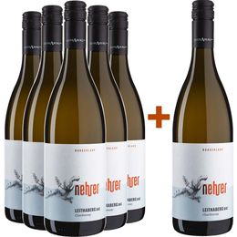Weingut Nehrer 5+1 Paket Leithaberg DAC Chardonnay 2024 Trocken - &ndash; Probierpaket Qualit&auml;tswein