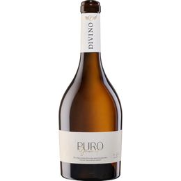 Divino eG PURO Granit Silvaner 2024 Trocken - Franken &ndash; Wei&szlig;wein Landwein Main