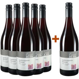 Weingut Ernst 5+1 Paket Steing&auml;ssle Sp&auml;tburgunder 2024 Trocken - Baden &ndash; Probierpaket Qualit&auml;tswein