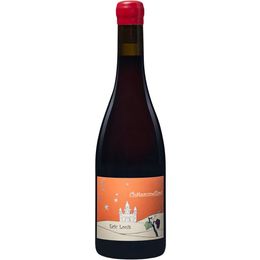 Domaine Eric Louis Ch&acirc;teaumeillant Gamay 2022 Trocken - Loire &ndash; Rotwein AOP