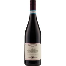 Tenuta Ulisse Nativae d'Abruzzo Montepulciano 2020 - Abruzzen &ndash; Rotwein DOC